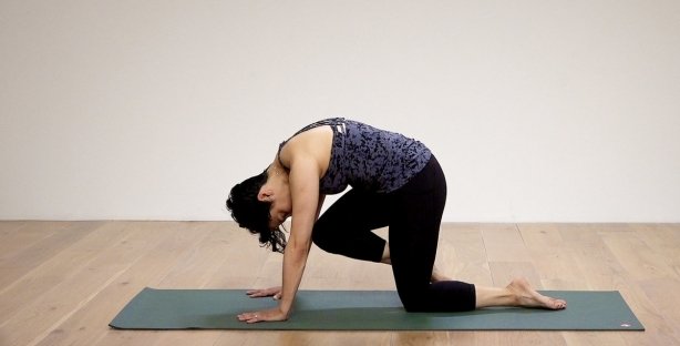 Cat Pose Benefits Tips And Variations Ekhart Yoga